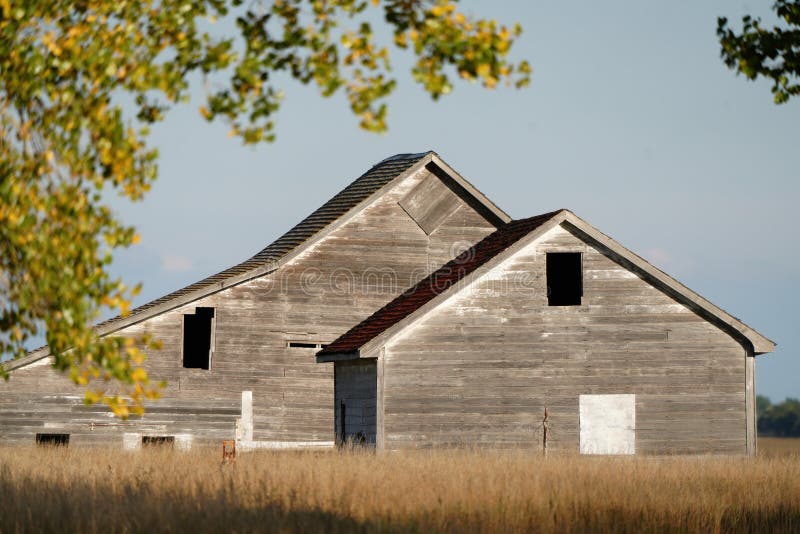 Abandoned Weathered Grey Wooden Barn in Field with Broken Windows Stock ...