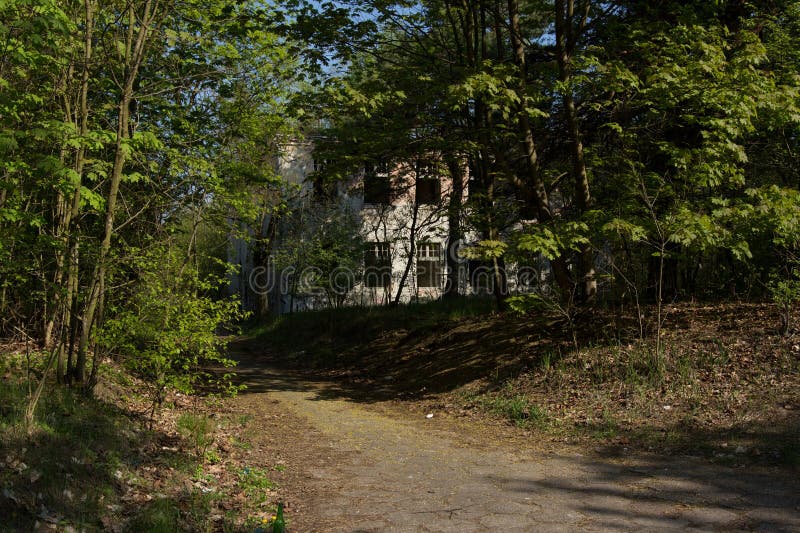 An Abandoned, Windowless Building in the Middle of a Forest Stock Photo ...
