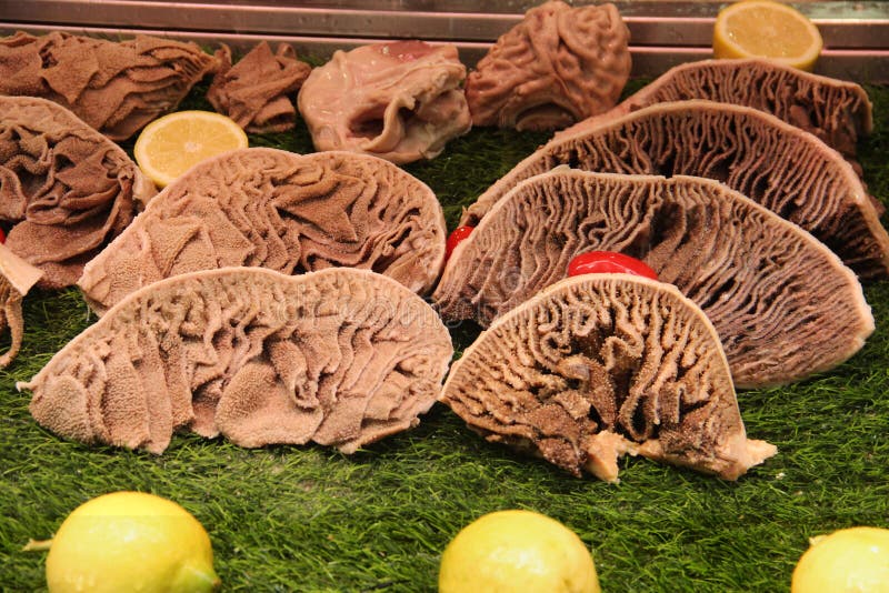 322 Photos de Abat Comestible - Photos de stock gratuites et libres de ...