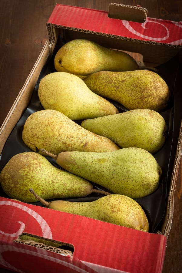 Abate pears, italian food stock photo. Image of picked - 48580974