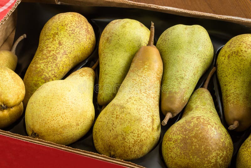 Abate pears, italian food stock photo. Image of market - 48581268