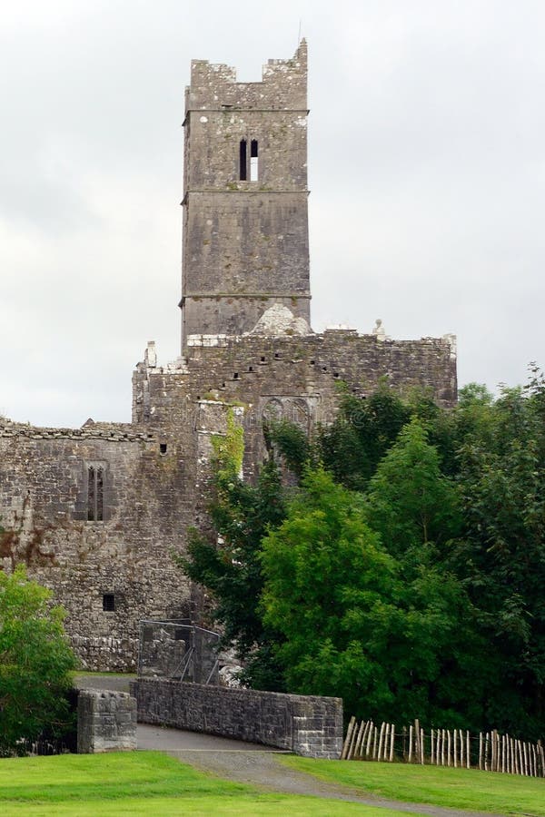 Abbey ruins, Quin, Ireland stock image. Image of medieval - 76634667