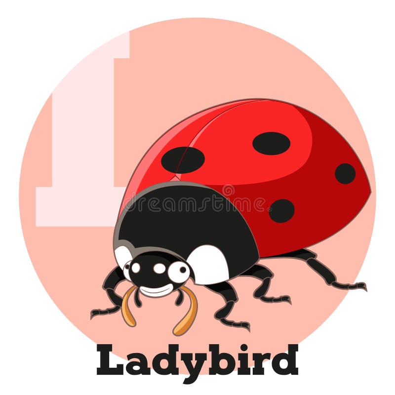 Ladybug Reading Stock Illustrations – 103 Ladybug Reading Stock ...