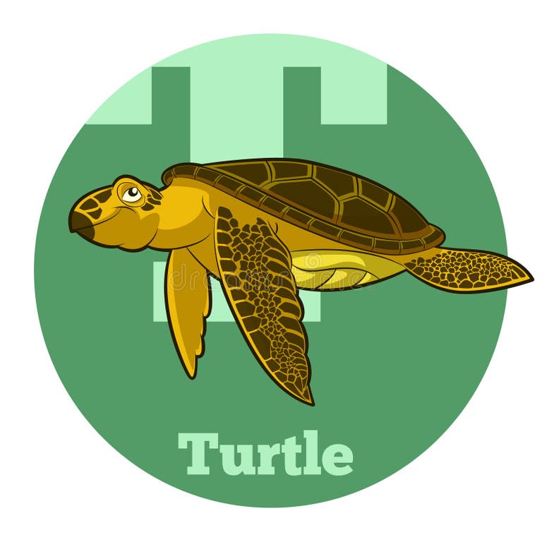 ABC Cartoon Turtle stock vector. Illustration of aquatic - 95070774