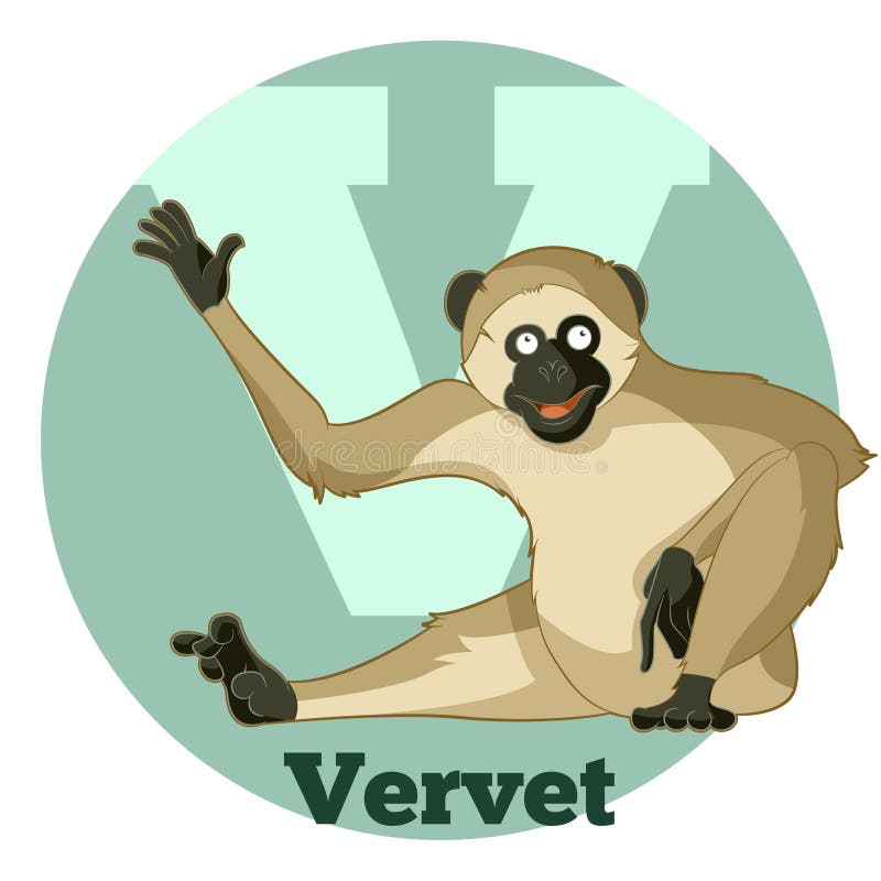 Cartoon Vervet Stock Illustrations – 232 Cartoon Vervet Stock ...