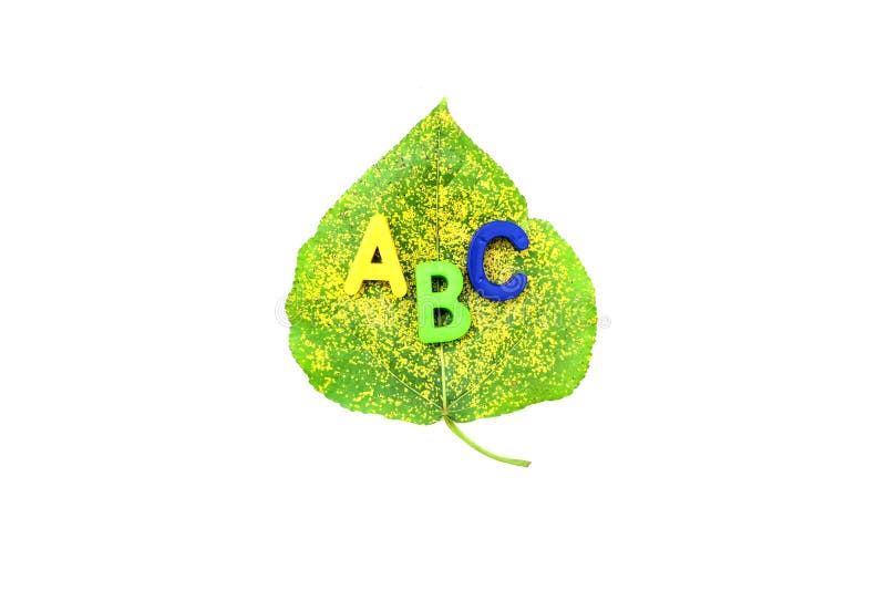 ABC Letters on Autumn Leaf. White Background Stock Image - Image of ...