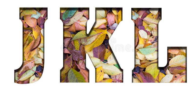 Abc Letters Autumn Leaves, on a White Background. Stock Image - Image ...