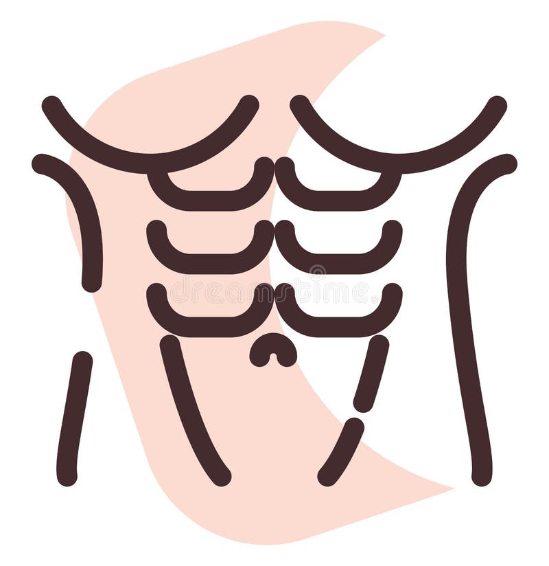 Abdomen muscles, icon stock vector. Illustration of human - 261063337
