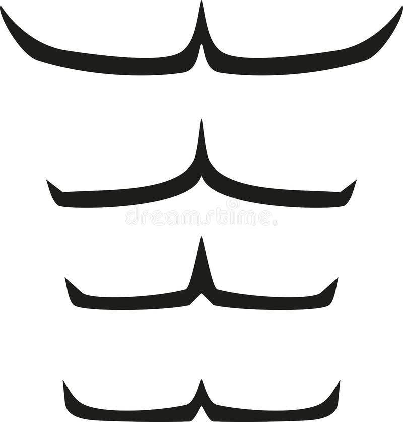 Abdominal Muscles Vector Vector Stock Vector - Illustration of isolated ...