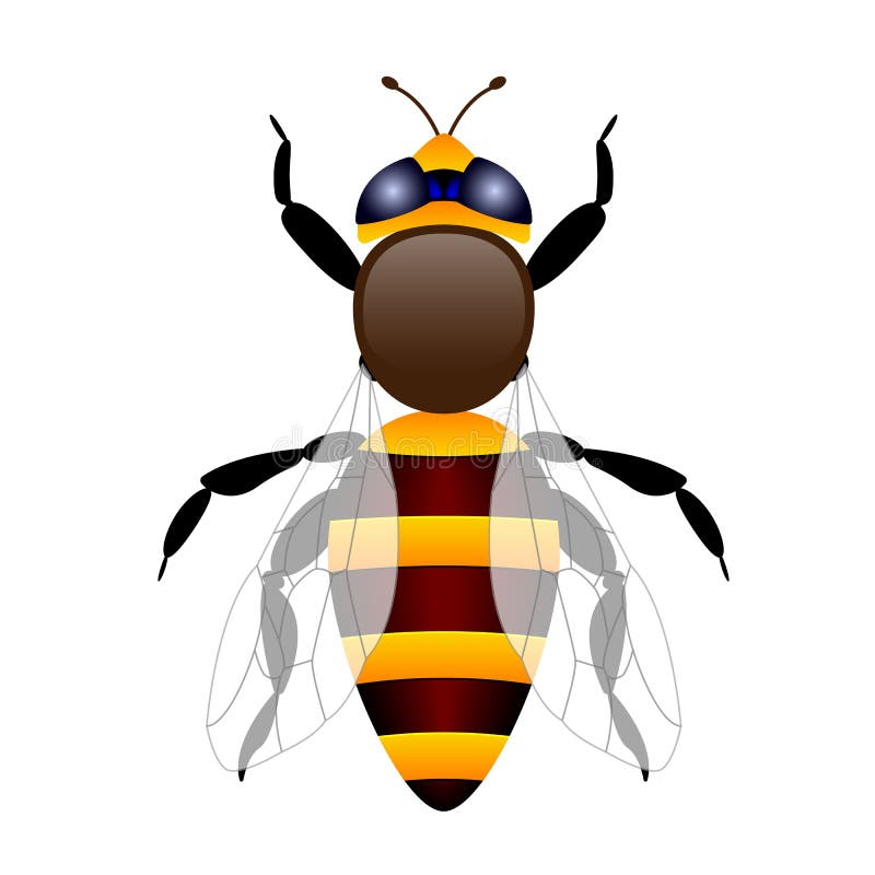 Abeille Stock Illustrations, Vecteurs, & Clipart – (64,696 Stock ...