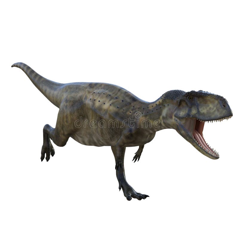 Abelisaurus Dinosaur Isolated 3d Rendering on White Background Stock ... Abelisaurus Dinosaur Isolated 3d Rendering on White Background Stock ...
