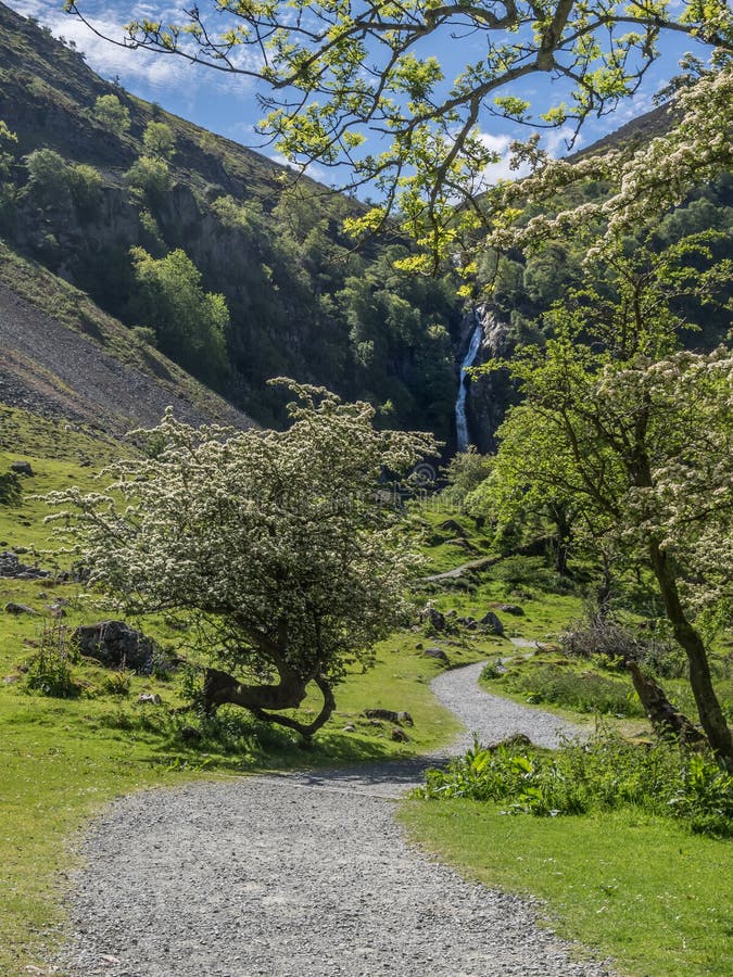 Aber Falls - Path Walking Up Stock Image - Image of island, wales: 57151927