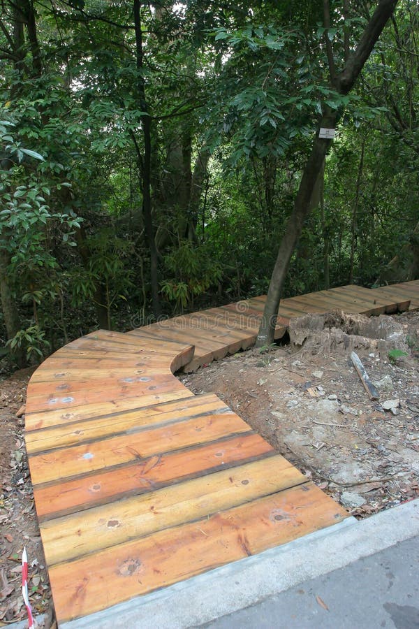 Aberdeen Nature Trail, Forest with Trees , Path through Wood Stock ...