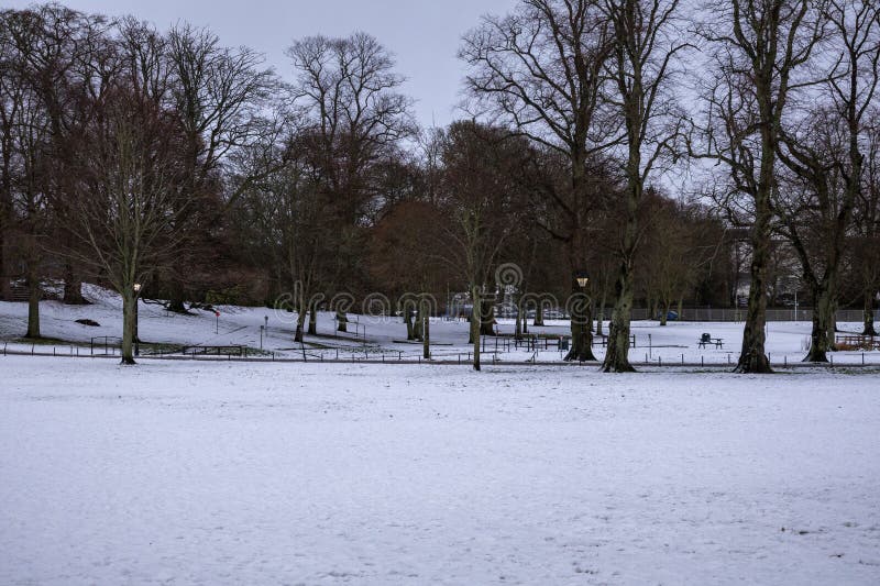 Aberdeen. Scotland. Snowfall in the Local Park. the Ground Covered in ...