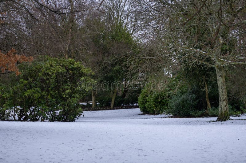 Aberdeen. Scotland. Snowfall in the Local Park. the Ground Covered in ...