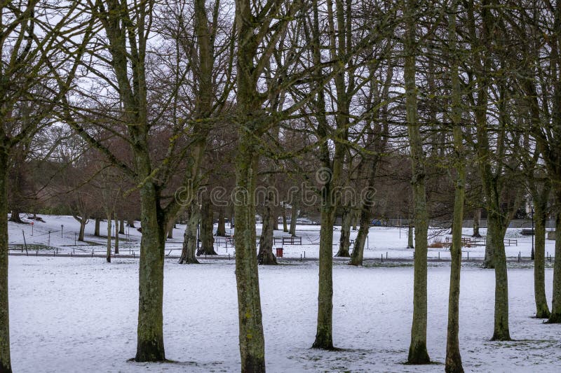 Aberdeen. Scotland. Snowfall in the Local Park. the Ground Covered in ...