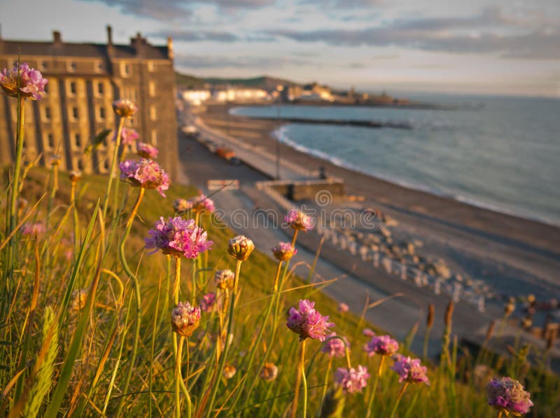 Aberystwyth Seafront in Summer Stock Photo - Image of small, horizon ...