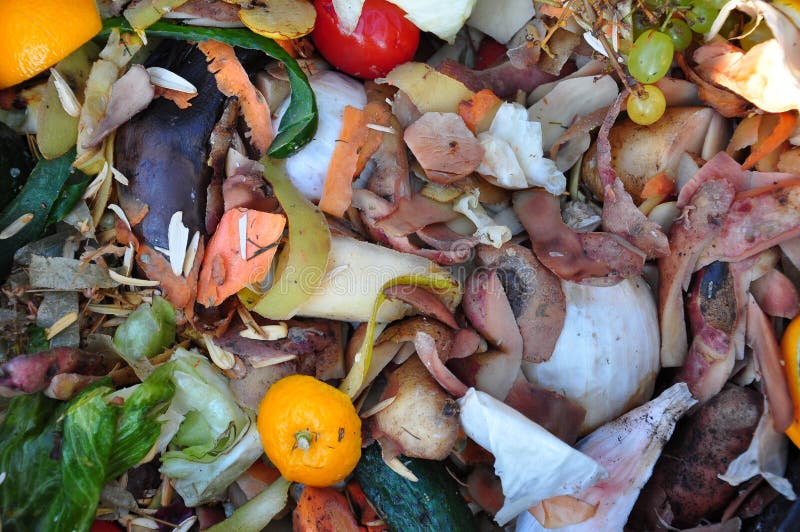 Organischer Abfall stockfoto. Bild von fäule, vergeudung - 50686760