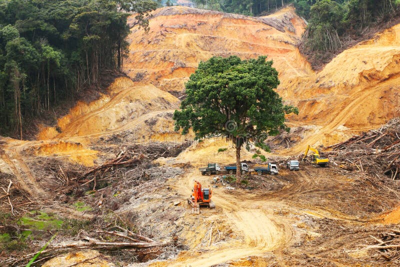 Abholzung stockfoto. Bild von baum, biodiversität, holz - 32658004