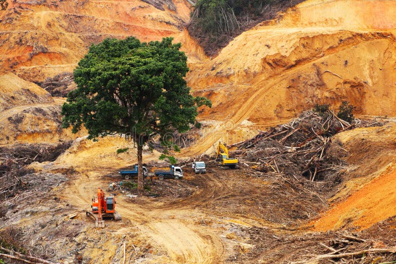 Abholzung Innerhalb Des Tropischen Waldes Stockbild - Bild von umwelt ...
