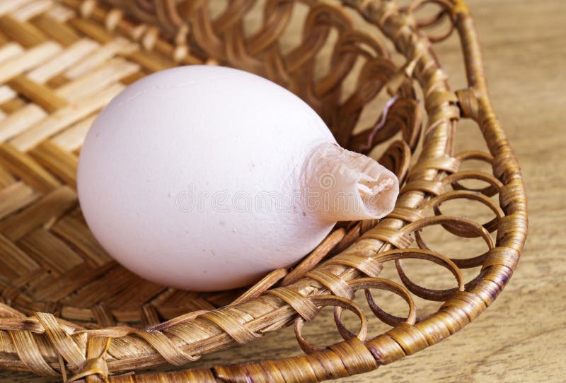 Abnormal Chicken Egg of the Whimsical Form Stock Photo - Image of ...