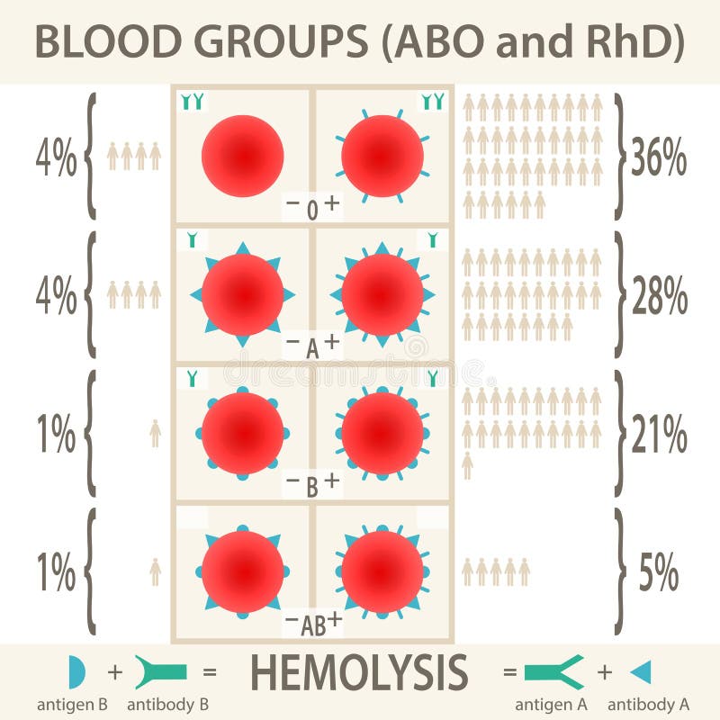 Abo Blood Group Diagram Stock Illustrations – 12 Abo Blood Group ...