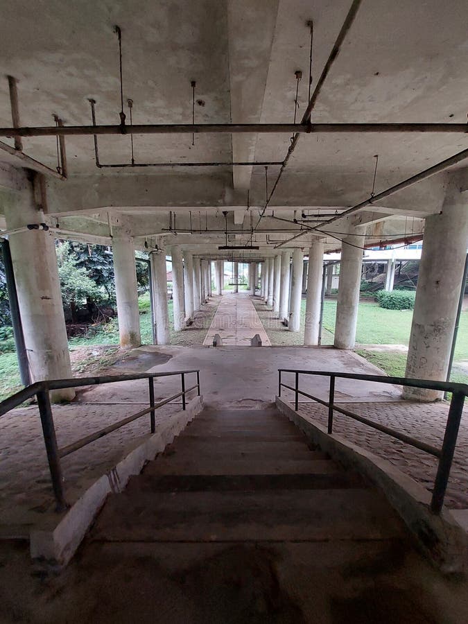 Abondoned Hallway stock photo. Image of stairs, house - 266980172