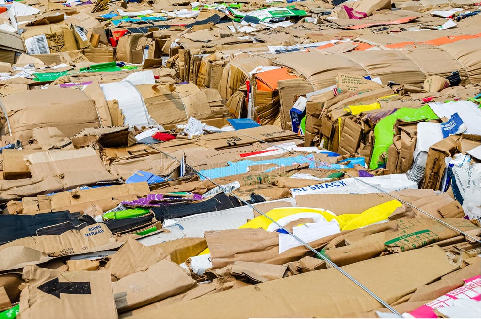 Above Angled View of Rows of Cardboard Box Bundles Stock Image - Image ...