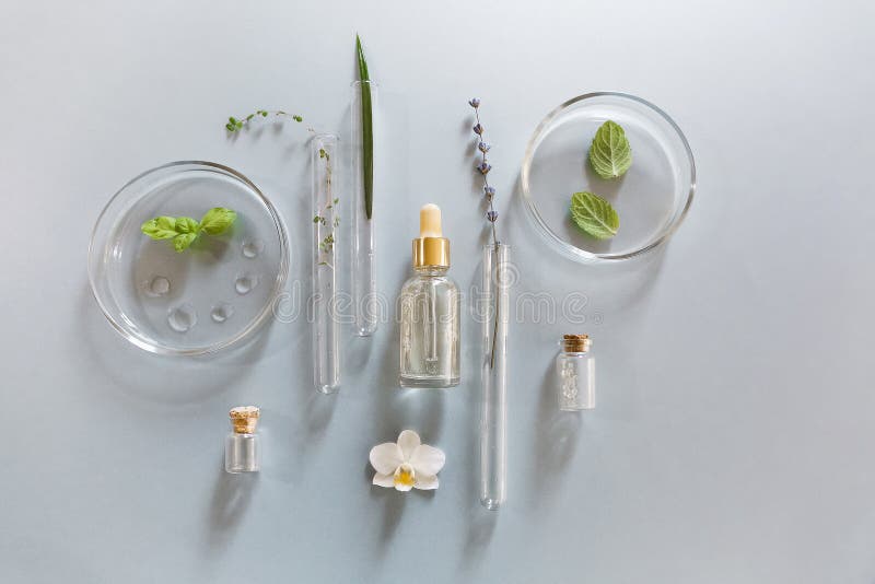 Set of Various Glassware on Table in Lab Stock Photo - Image of fluid ...