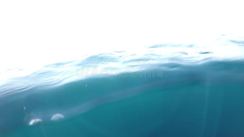 Above and Below the Ocean Surface Stock Footage - Video of view, game ...