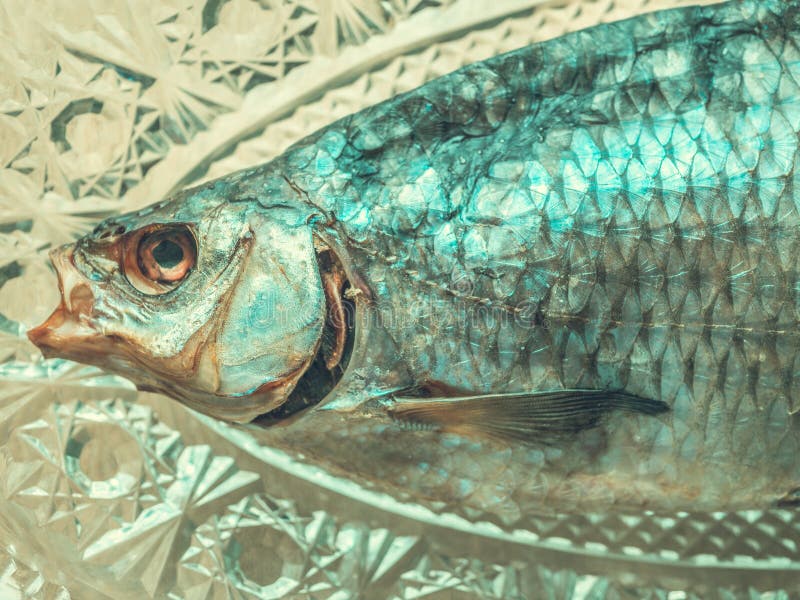 From Above Crystal Plate with Dried Fish Stock Photo - Image of closeup ...