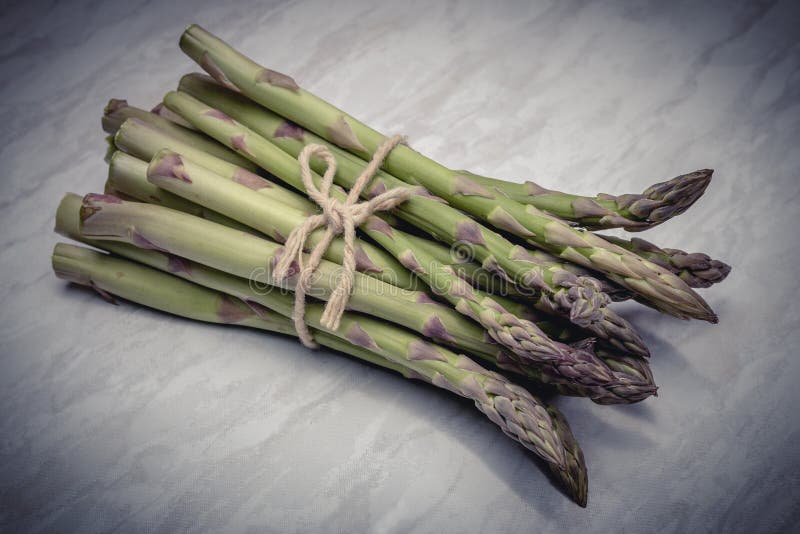 Bunch of Green Sprouts in String Stock Image - Image of natural ...