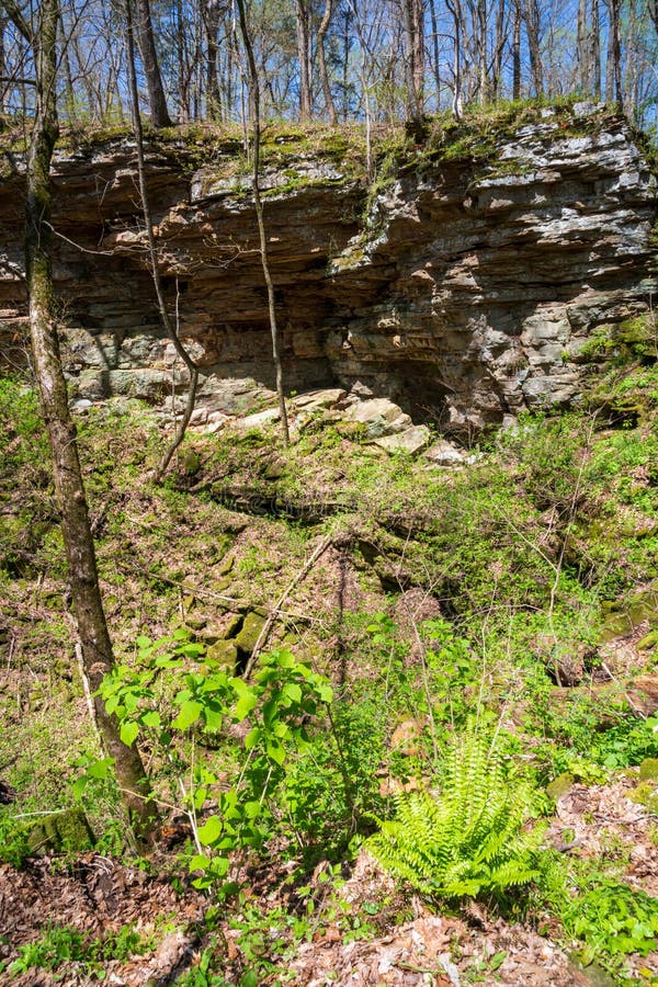 Above Ground at Mammoth Cave National Park Stock Photo - Image of ...