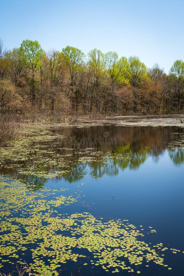 Above Ground at Mammoth Cave National Park Stock Image - Image of ...