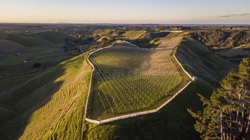 Above the Orchard on Top of Hill Stock Image - Image of natural, meadow ...