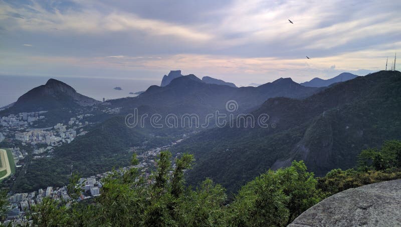 Above Rio stock photo. Image of rock, brazil, tree, mountain - 247414068