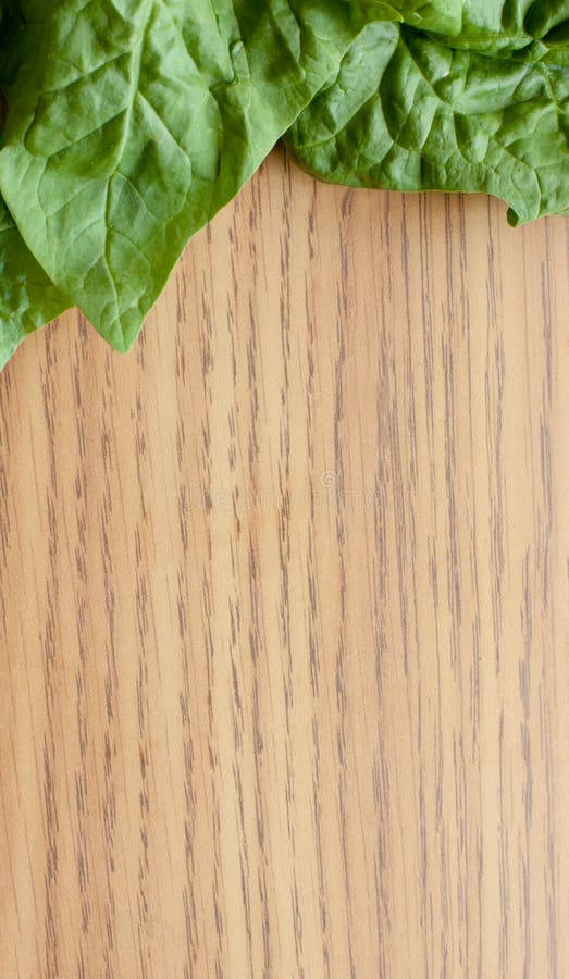 Above Spinach Border stock photo. Image of backgrounds - 24643748