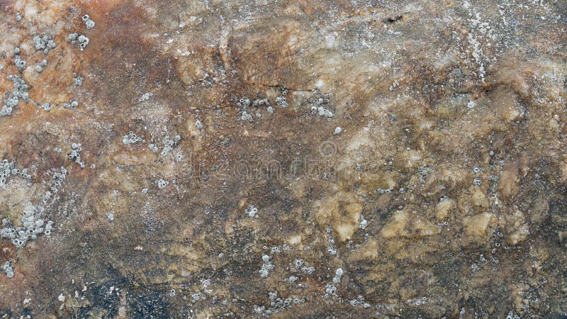 Above of Surface of a Large Rock with Sand Grains. Stock Photo - Image ...