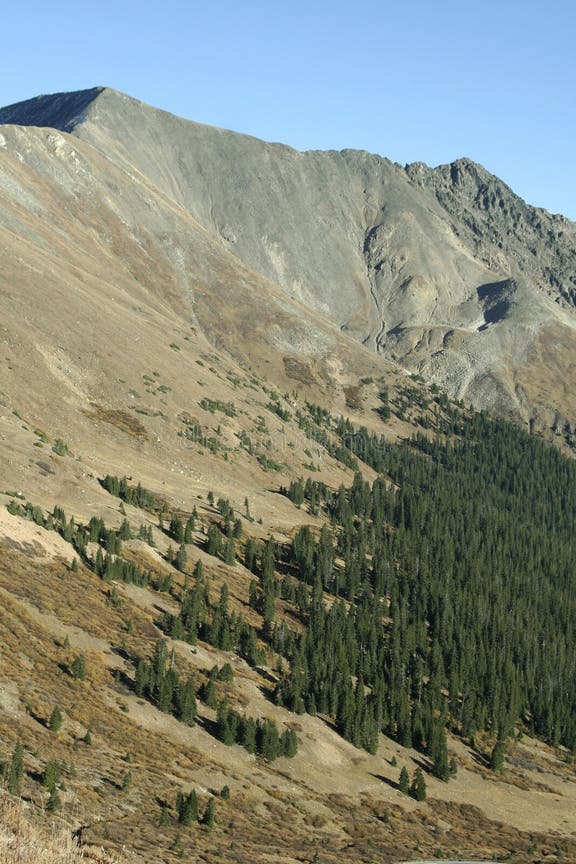 Above the Tree Line - Colorado Stock Photo - Image of outdoors ...