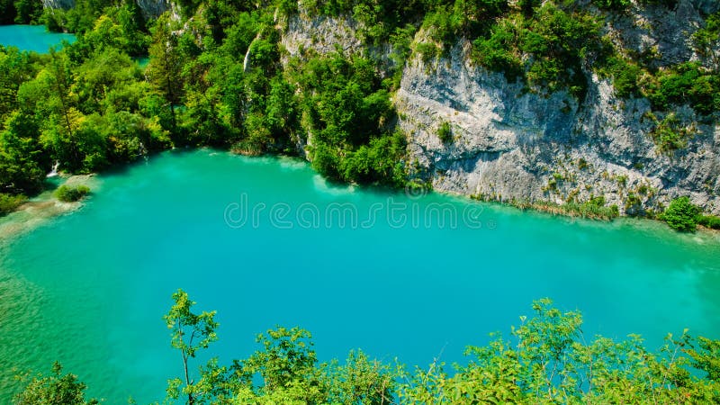 Turquoise Lake Water in Pines Wood Stock Image - Image of alps ...