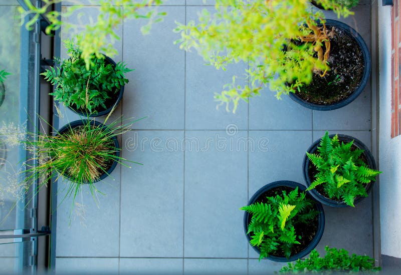 Above View at Balcony with Plants Stock Photo - Image of facade ...
