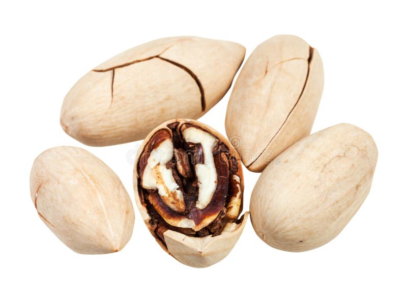 Pecans in the Shell stock image. Image of shells, nuts - 4917895