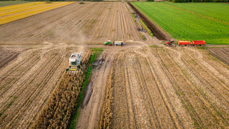 Aerial View of Combine, Harvester Machine Harvest Ripe Maize Stock ...