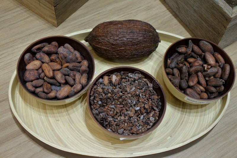 Above View of Toasted Cacao Beans in Bowls Stock Photo - Image of ...