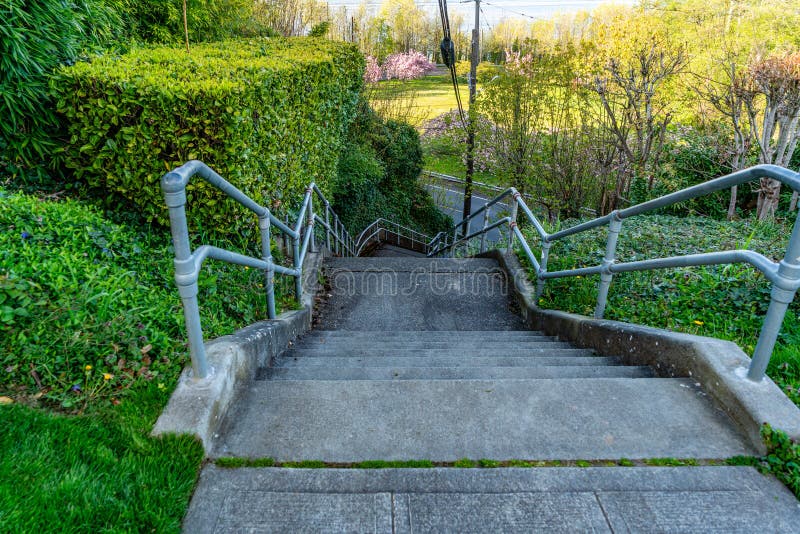 Above West Seattle Stairs 2 Stock Image - Image of steps, scenic: 315922383