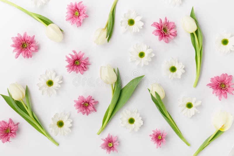 White and Pink Flowers Pattern Stock Image - Image of abstract ...