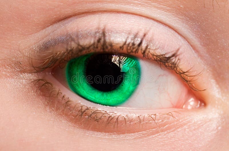 Abra el ojo imagen de archivo. Imagen de mirando, latigazos - 5428383