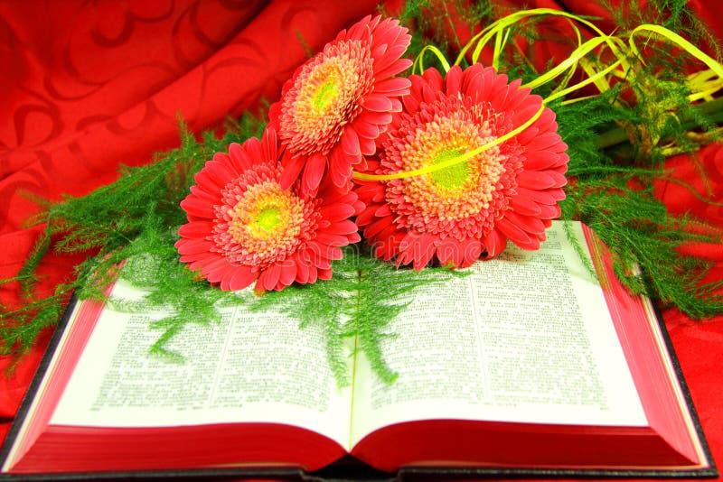 Biblia Y Flores En El Vector Imagen de archivo - Imagen de religioso ...