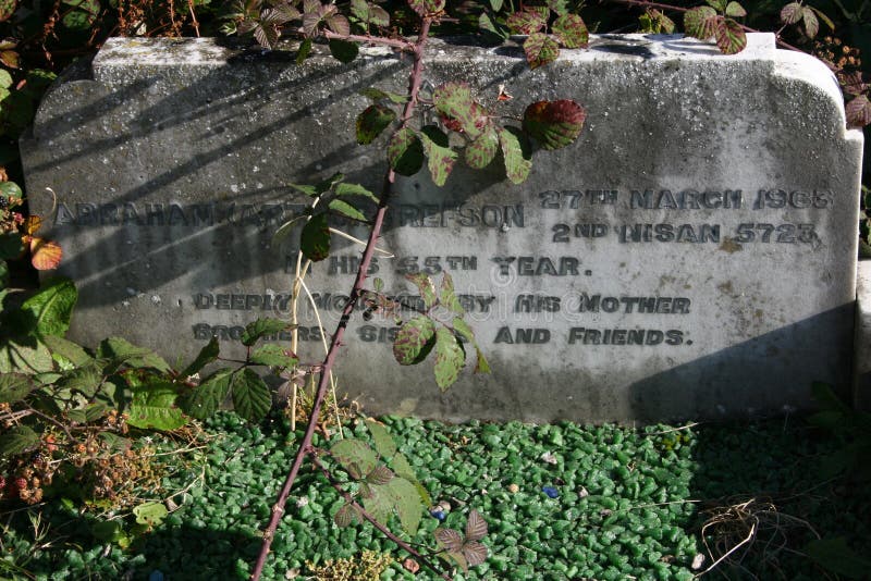 Abraham Refson Picture. Image: 222346523