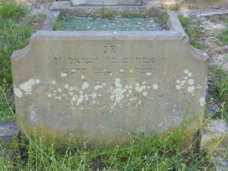 Abraham Singer Picture. Image: 222347125